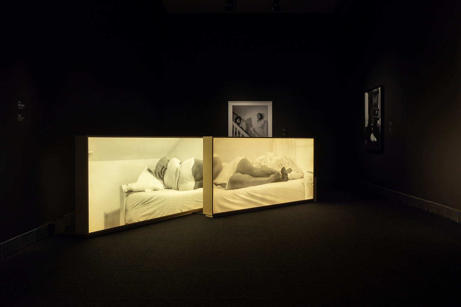 MOMENTA x MBAM Anique Jordan: Underbelly | Exhibition | Montreal Museum ...